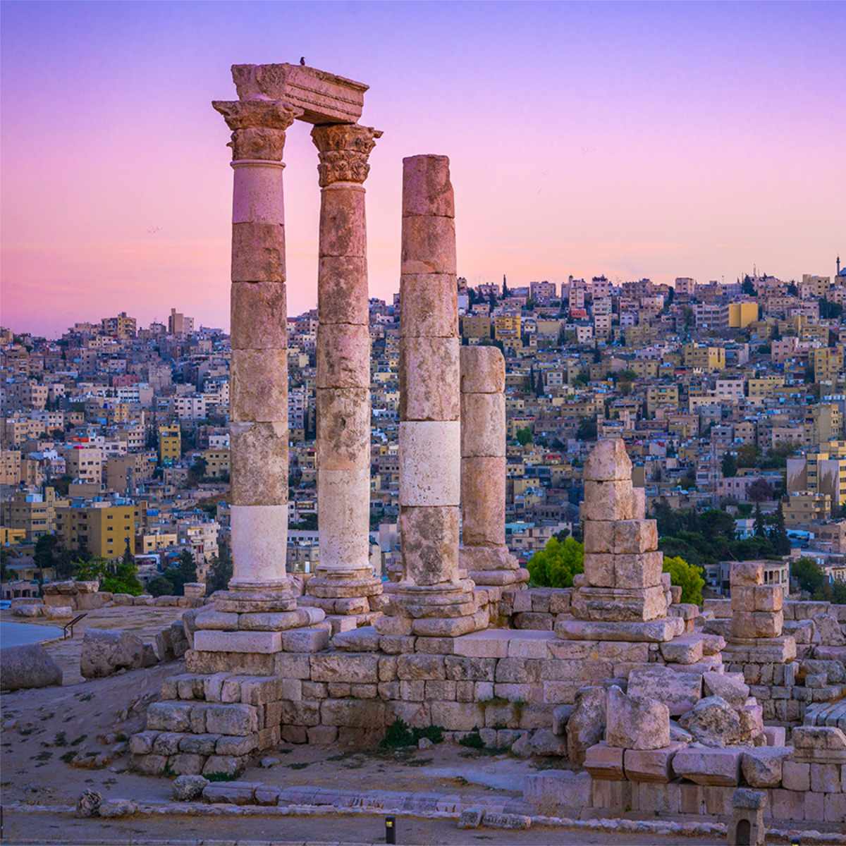 Stores in Amman - Luxferity